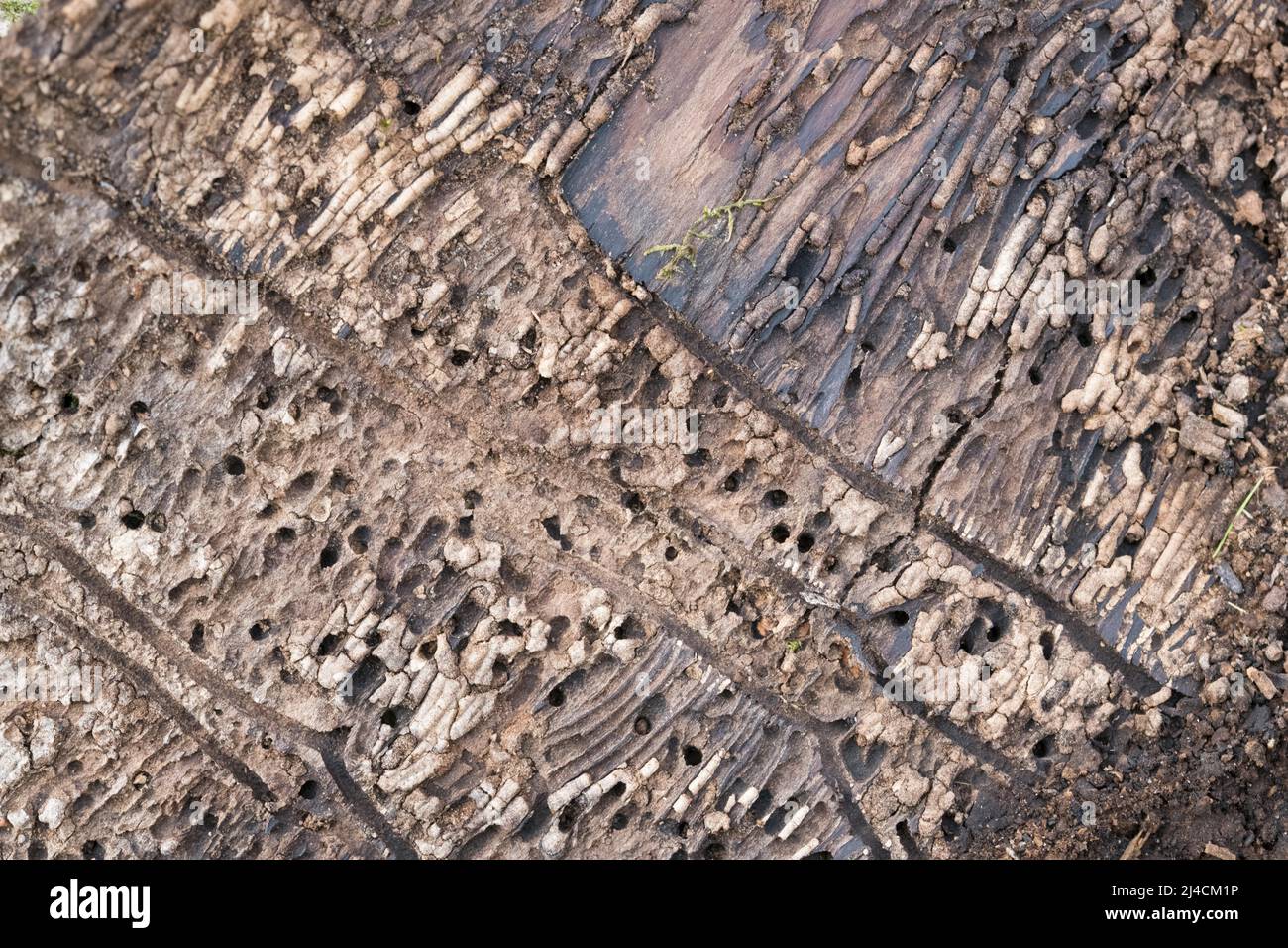 Boreholes hi-res stock photography and images - Alamy