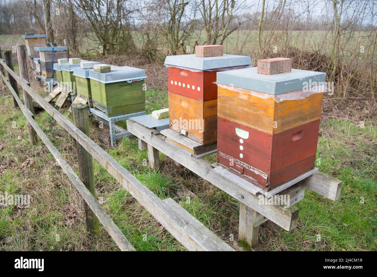 Bee boxes, Duesseldorf, Germany Stock Photo - Alamy