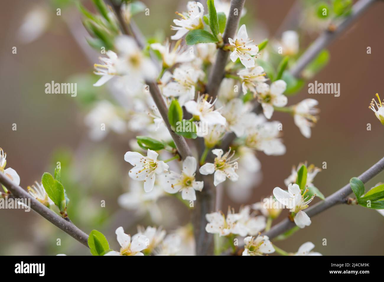 District of velbert hi-res stock photography and images - Alamy