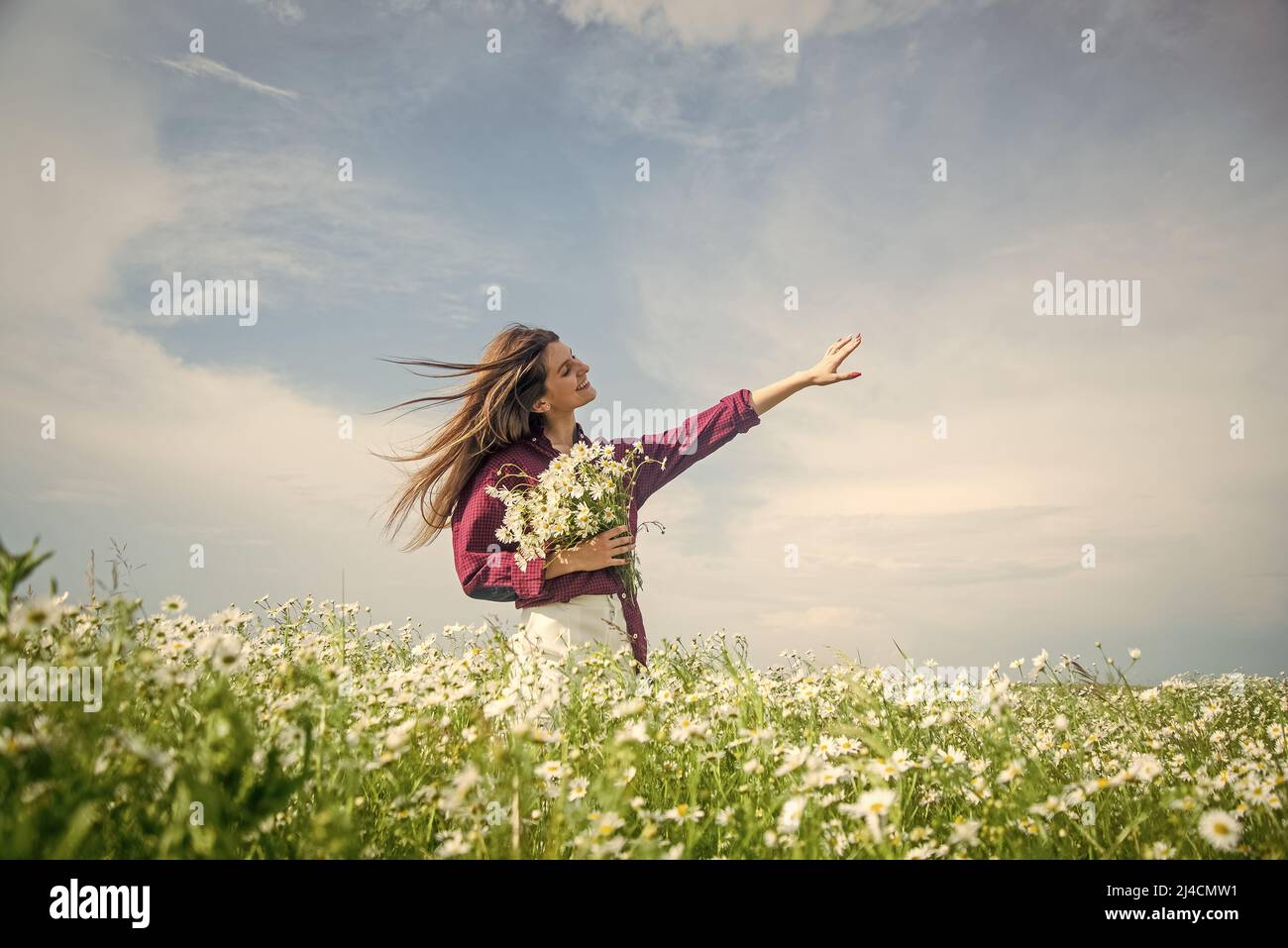 happy woman gather flowers in summer chamomile field, carefree Stock ...