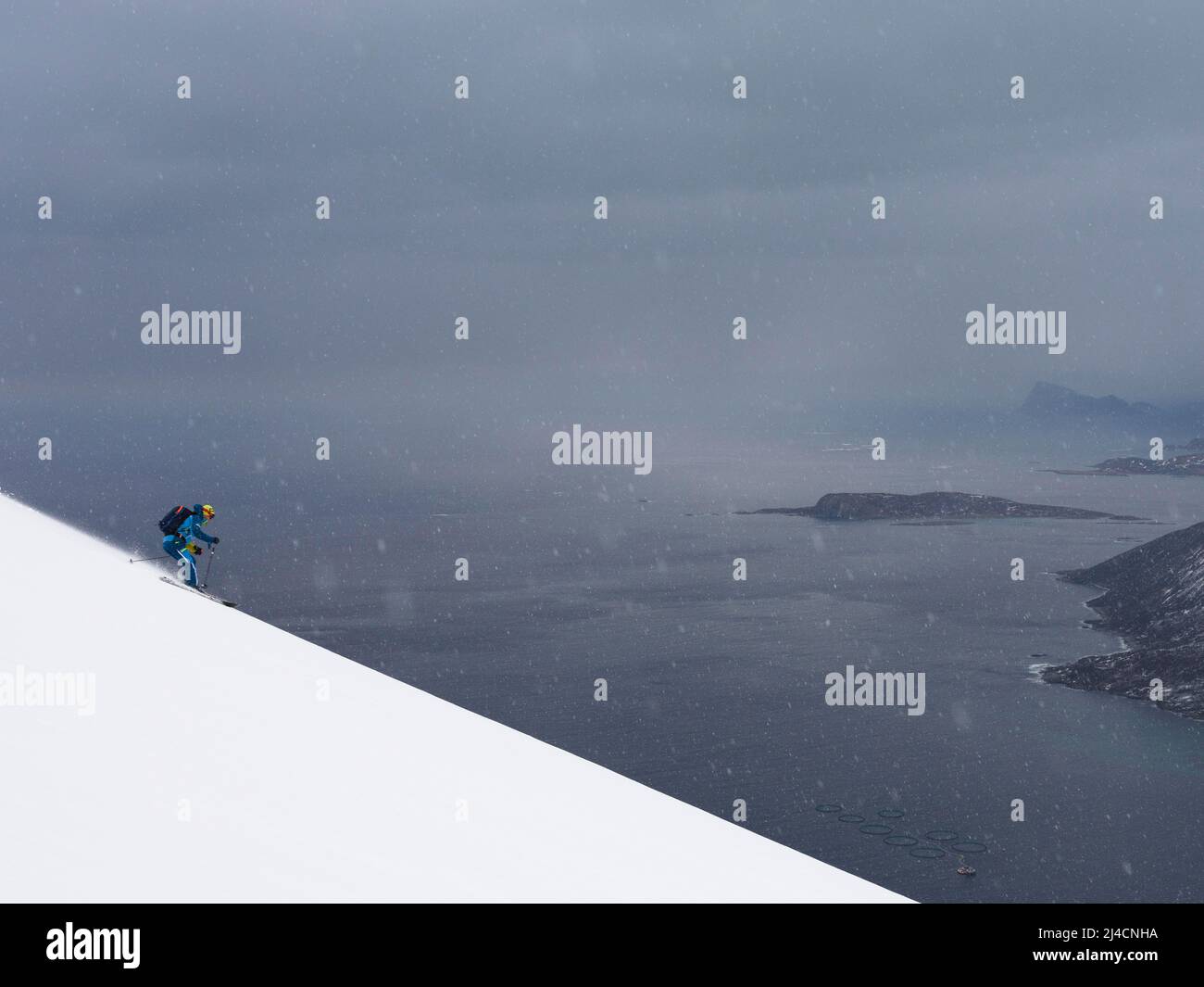 Skiers in light snowfall in front of the sea, Senja Island, Troms ...