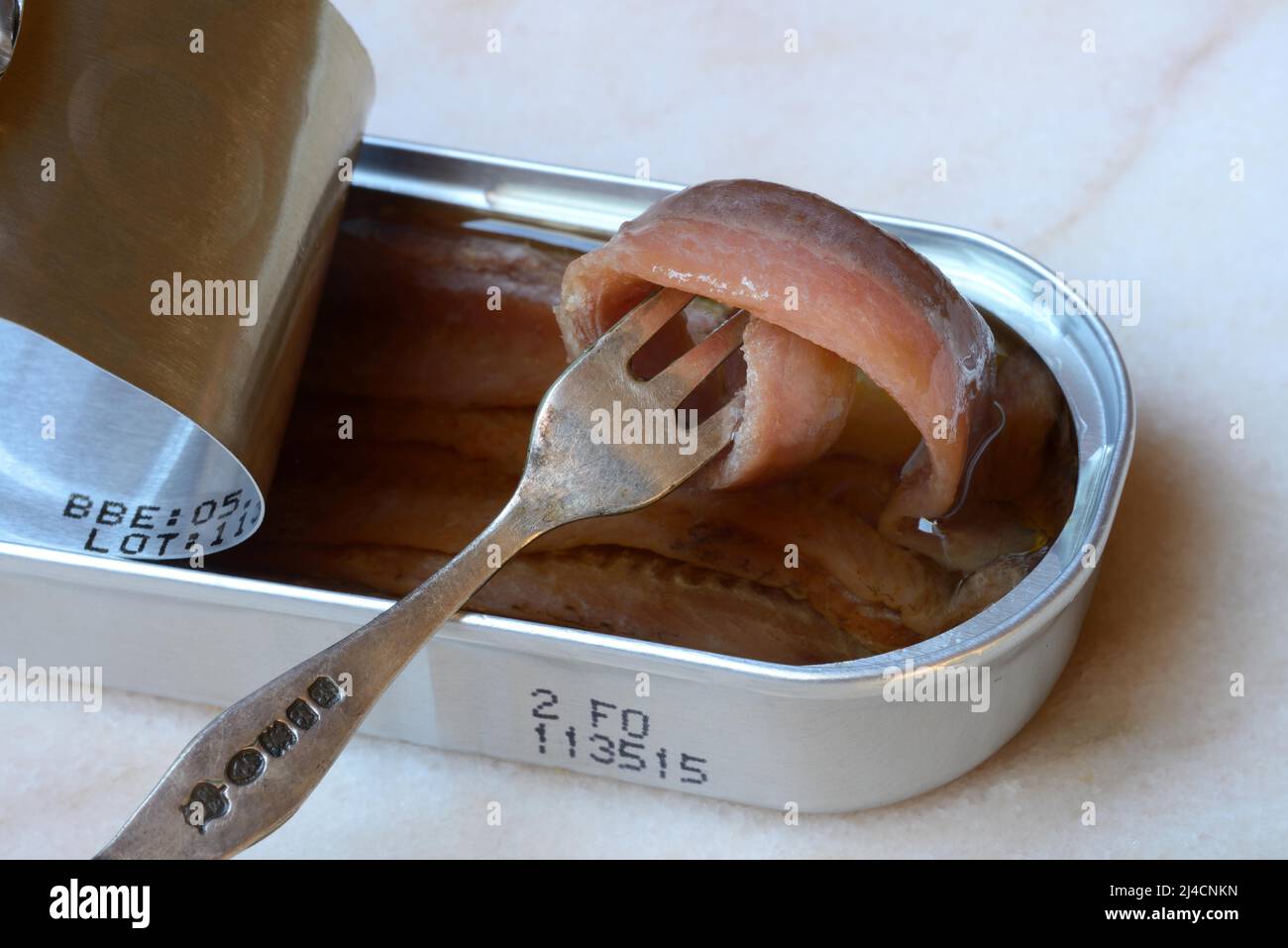 European anchovy (Engraulis encrasicolus), anchovy fillets on fork with ...