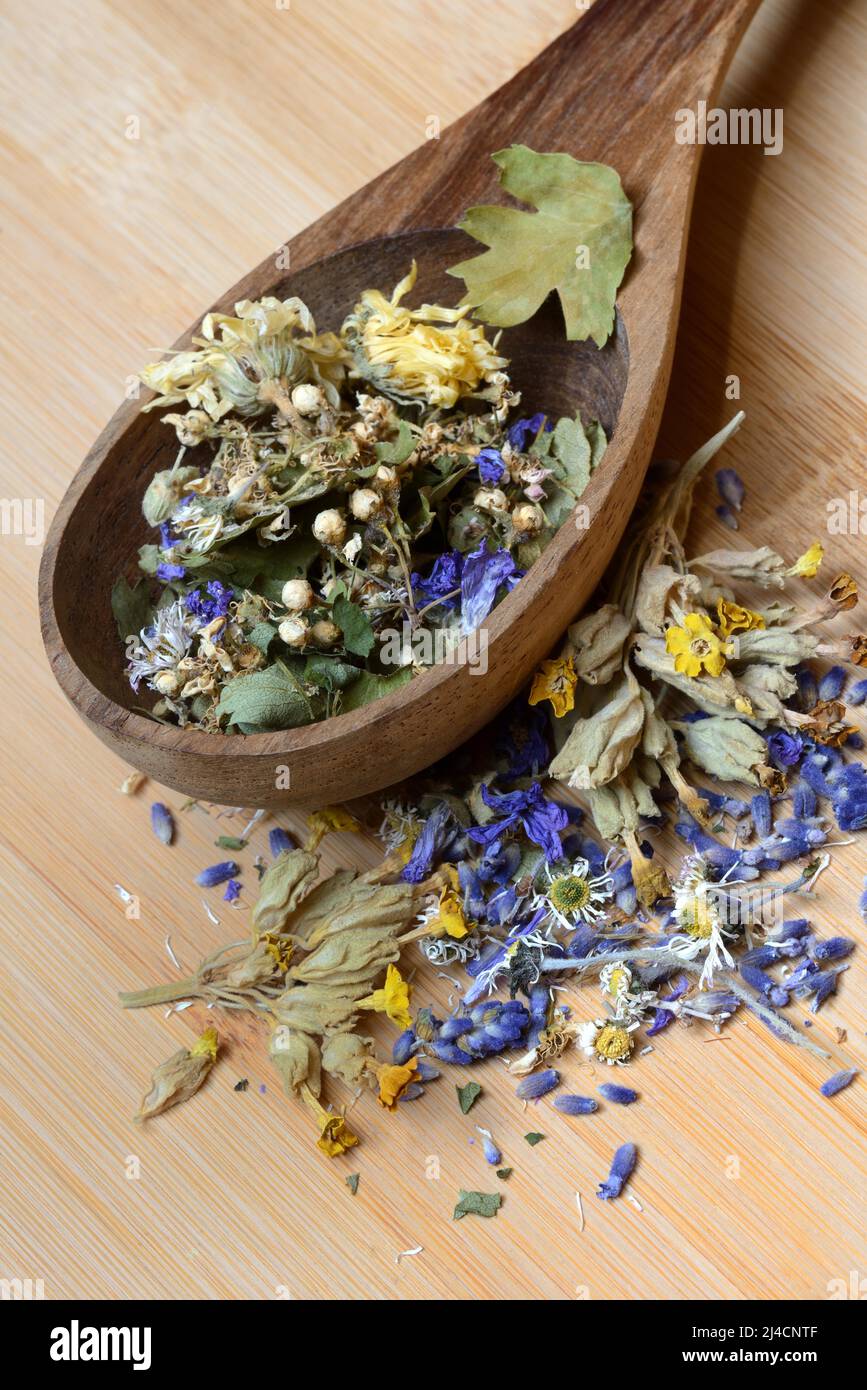 Tea mixture in wooden ladle and medicinal plants, tea mixture Stock ...
