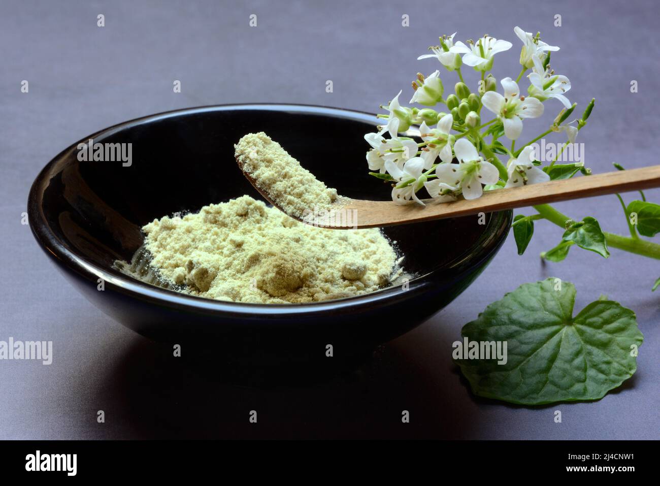 Wasabi (Wasabia japonica) with spatula in bowl, flower and wasabi leaf ...