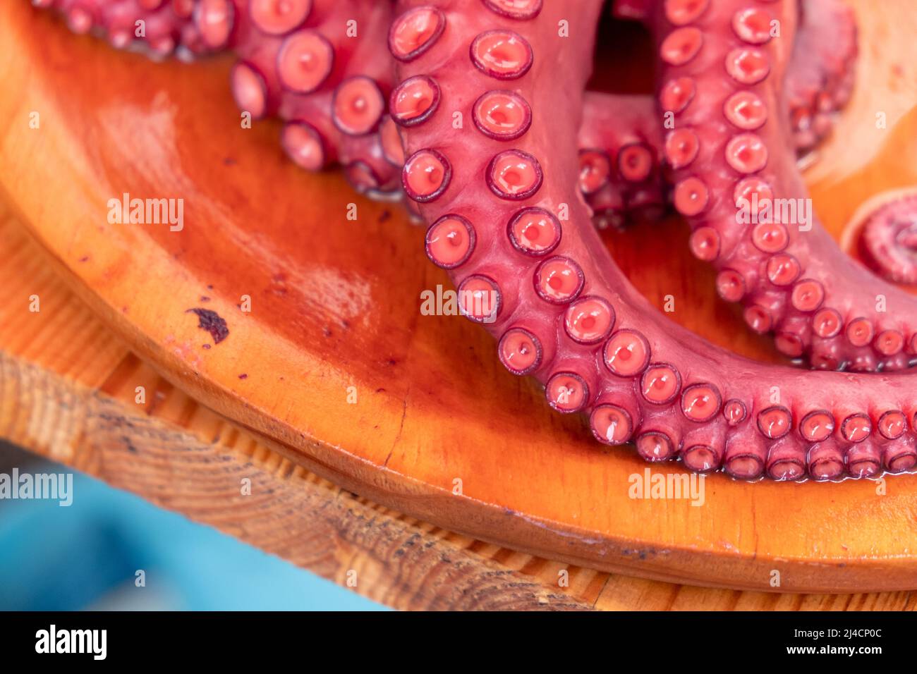 octopus tentacles cooked in Galicia in the Pulpo a Feira style Stock ...