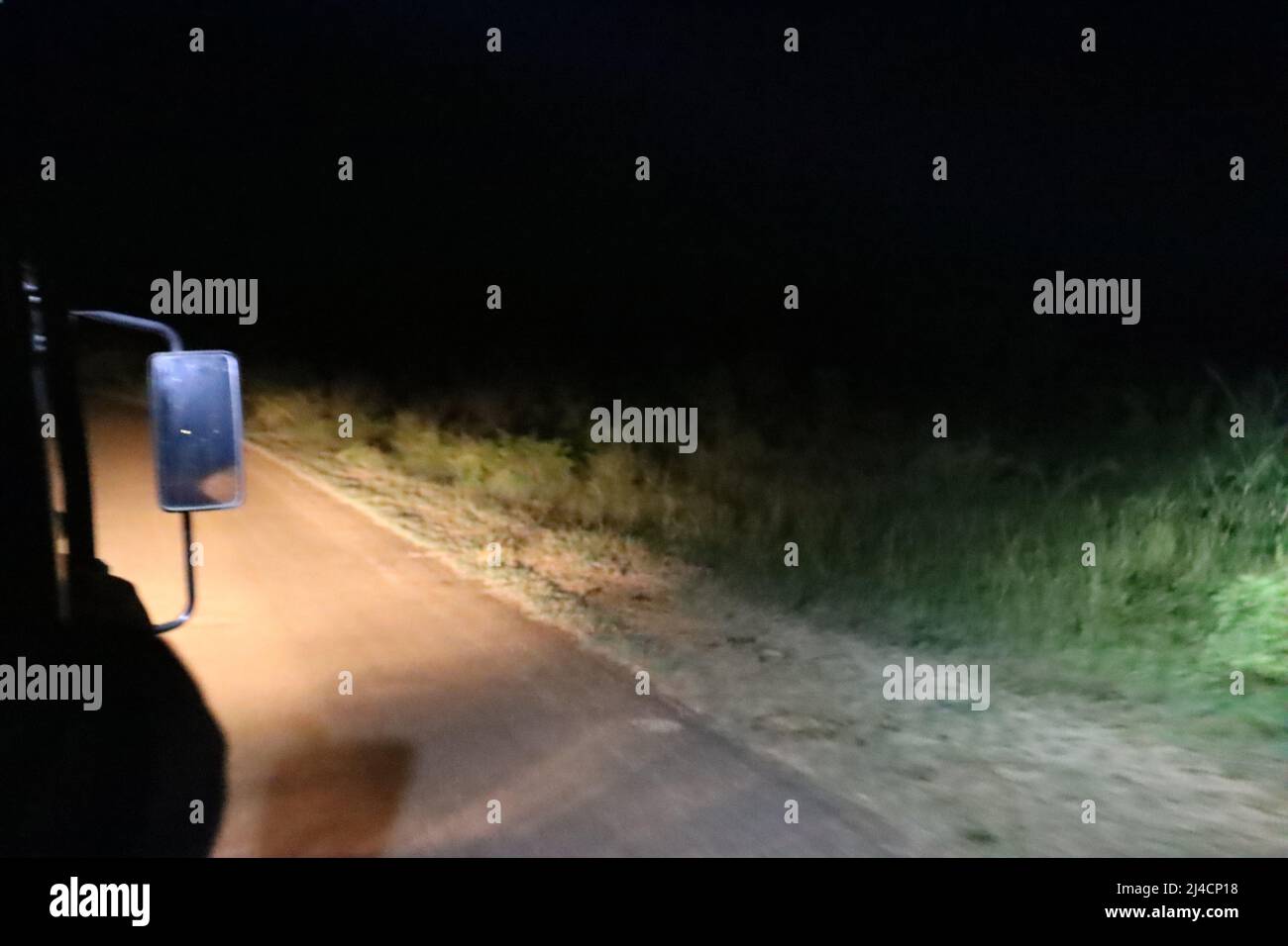 Night game drive hi-res stock photography and images - Alamy