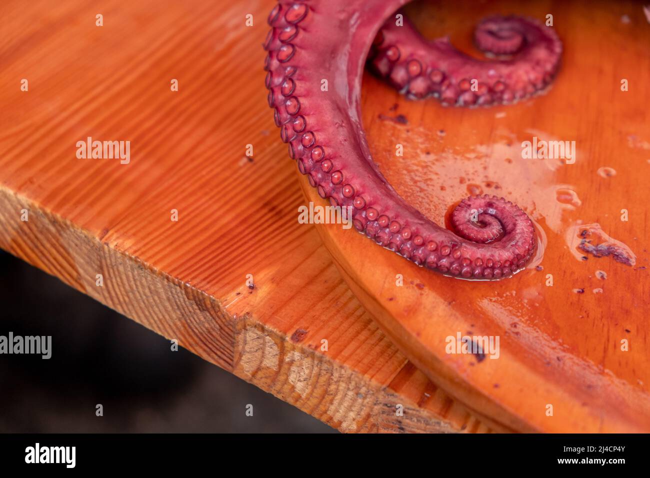 octopus tentacles cooked in Galicia in the Pulpo a Feira style Stock ...