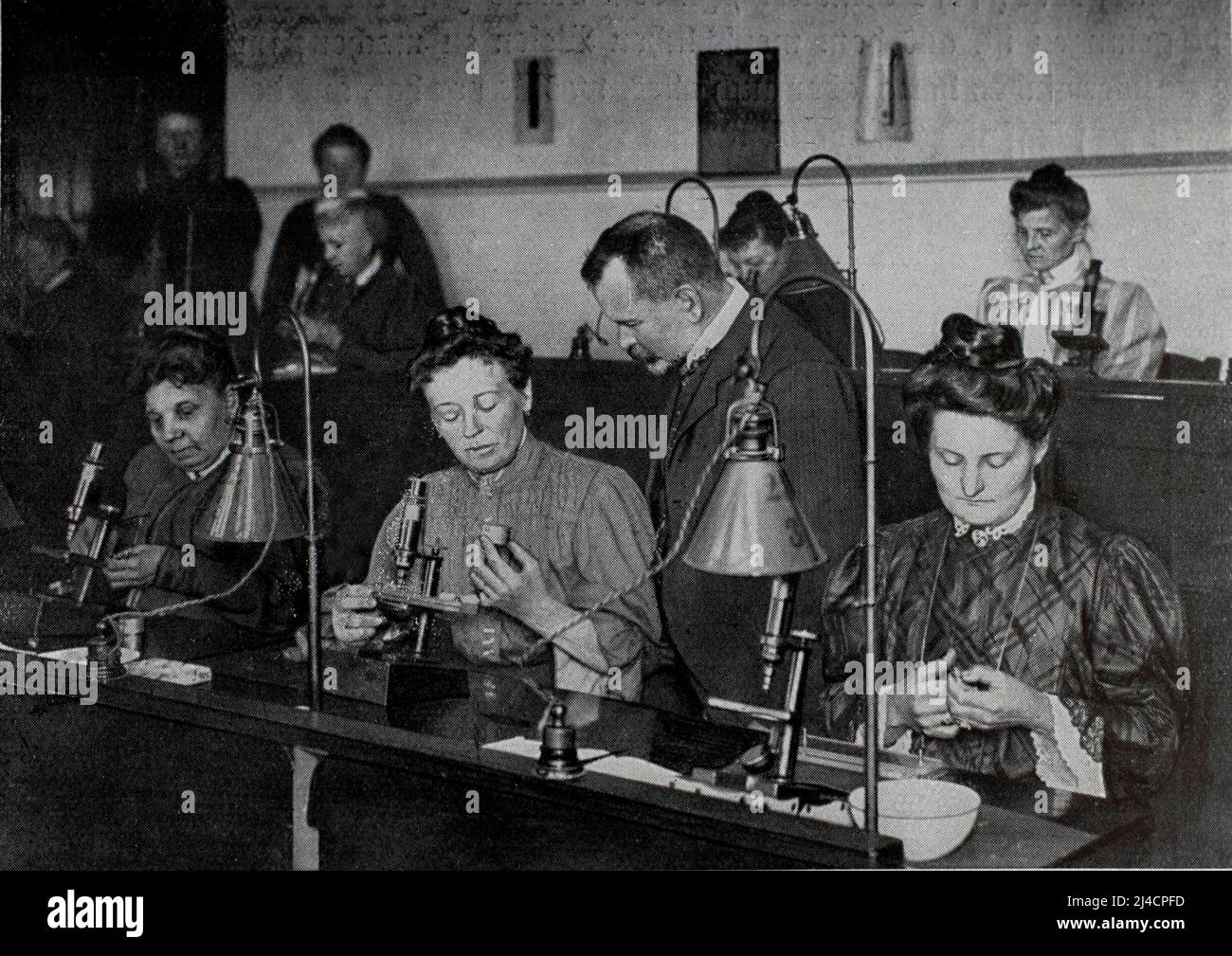 Meat inspection hi-res stock photography and images - Alamy