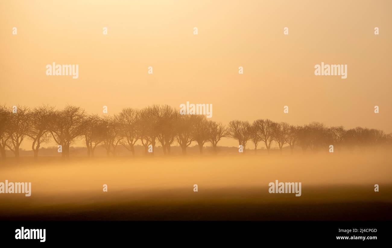 Dust storm drought hi-res stock photography and images - Alamy