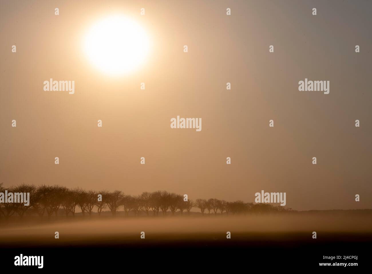 Sahara dust storm europe hi-res stock photography and images - Alamy
