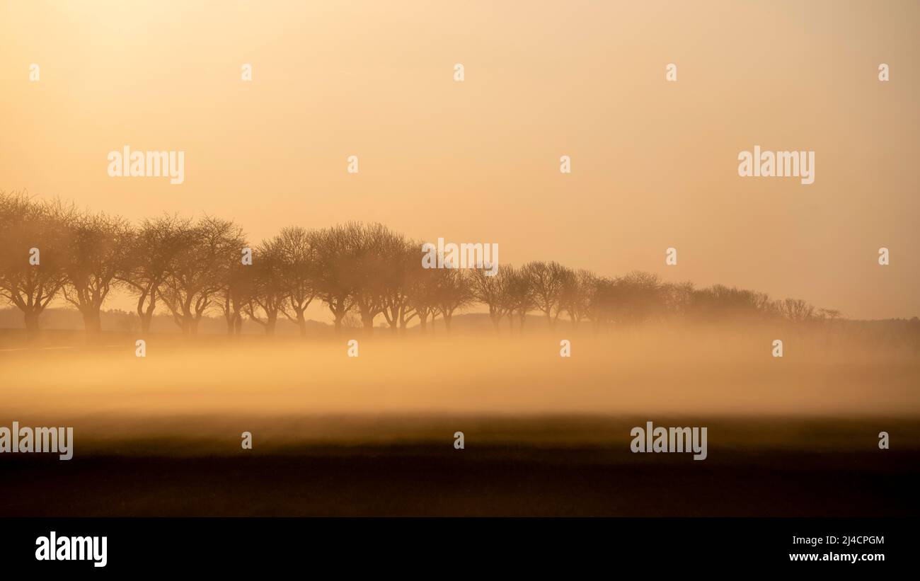 Sahara sand storm hi-res stock photography and images - Alamy