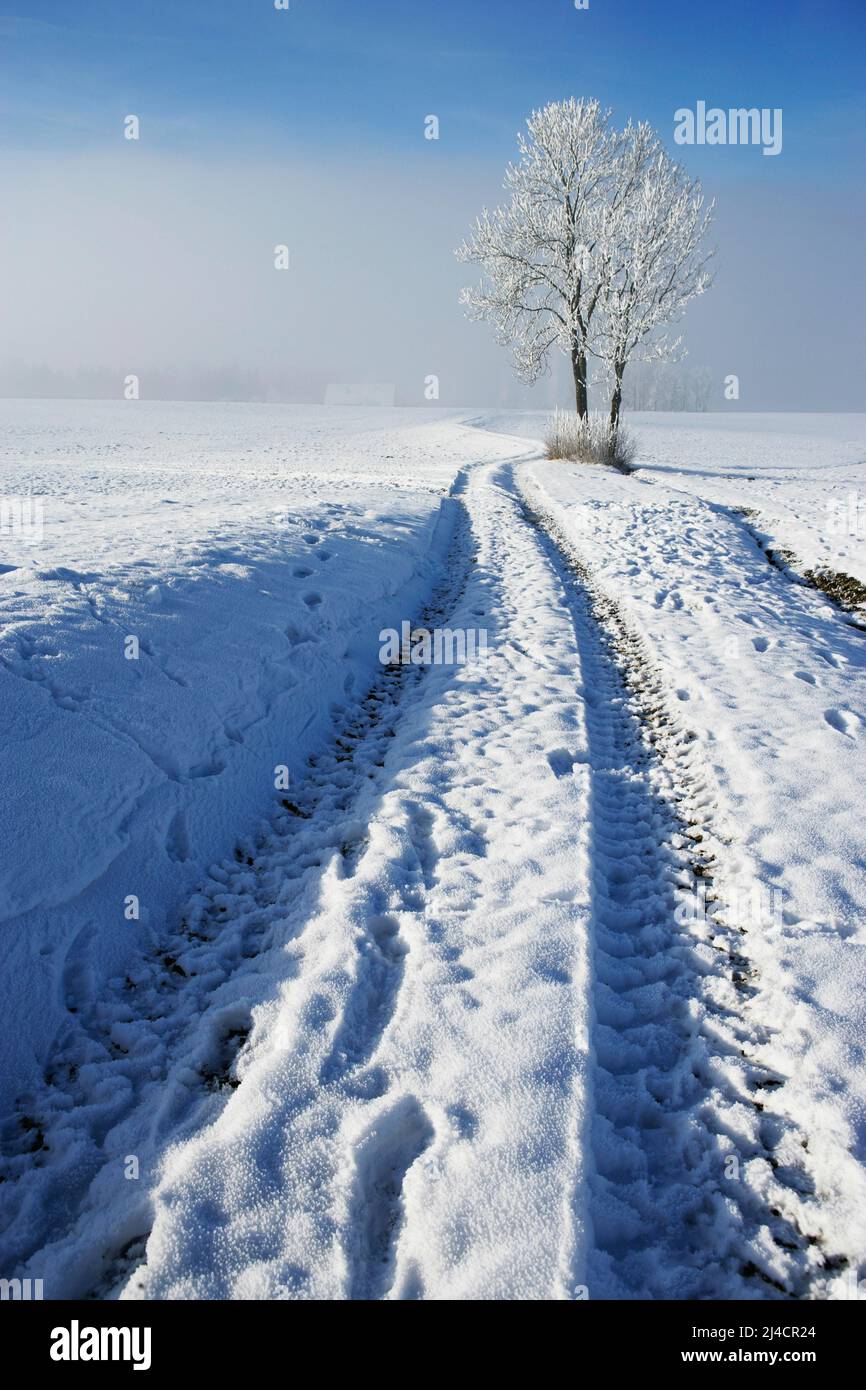 Mondsee austria winter hi-res stock photography and images - Alamy
