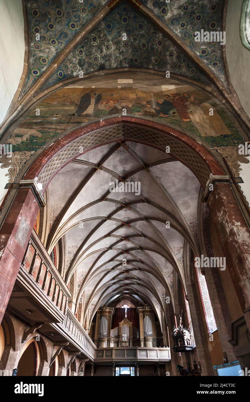 Cross vault with organ loft, Dreifaltigkeitskirche, Goerlitz, Upper ...