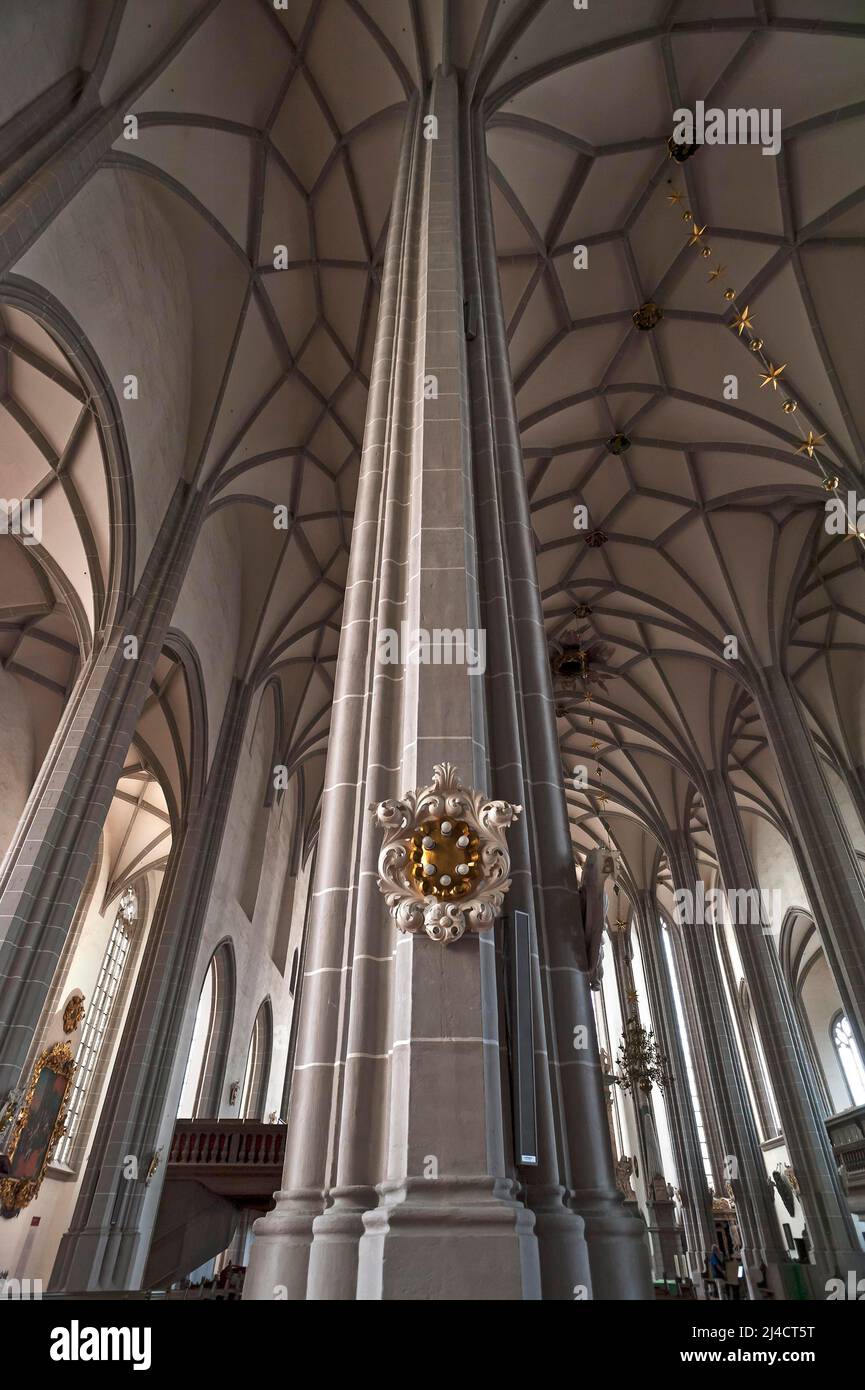 Columns of the late Gothic parish church of St. Peter and Paul ...