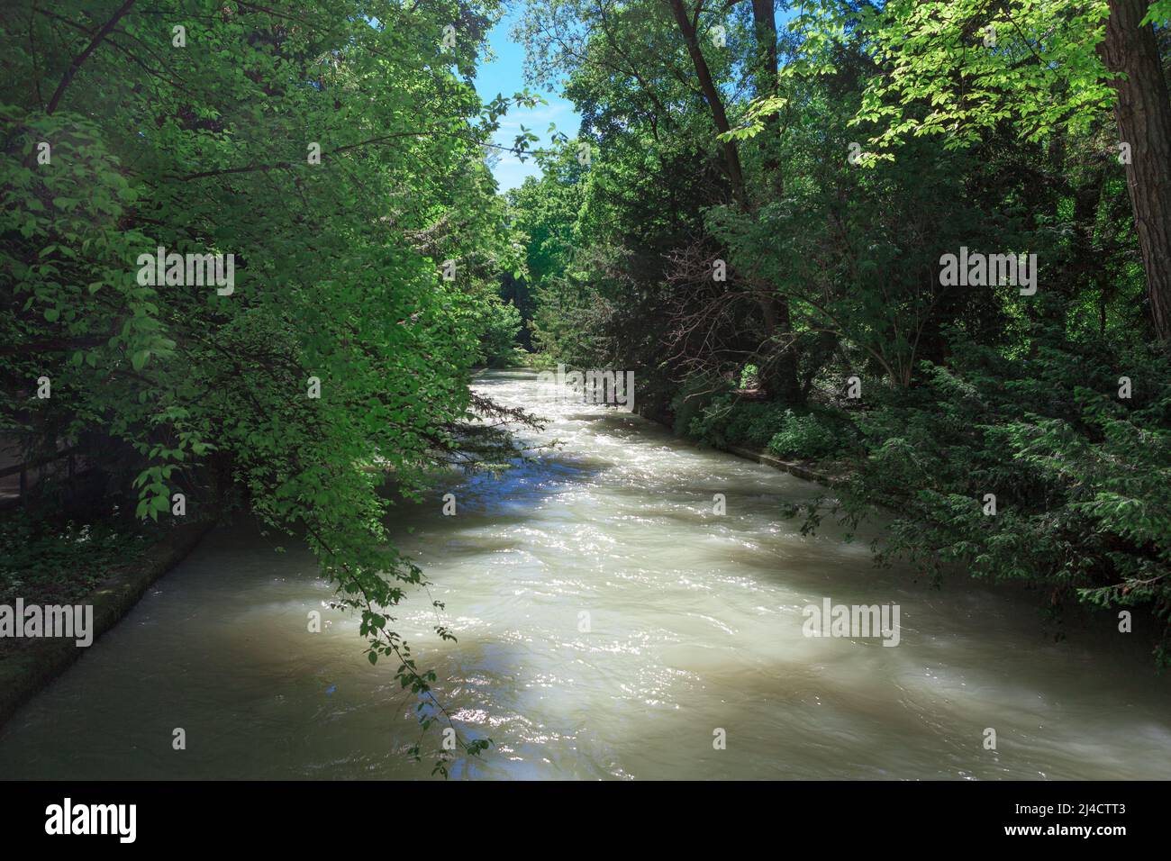 View of water stream and branches . Flowing rapid river between trees ...