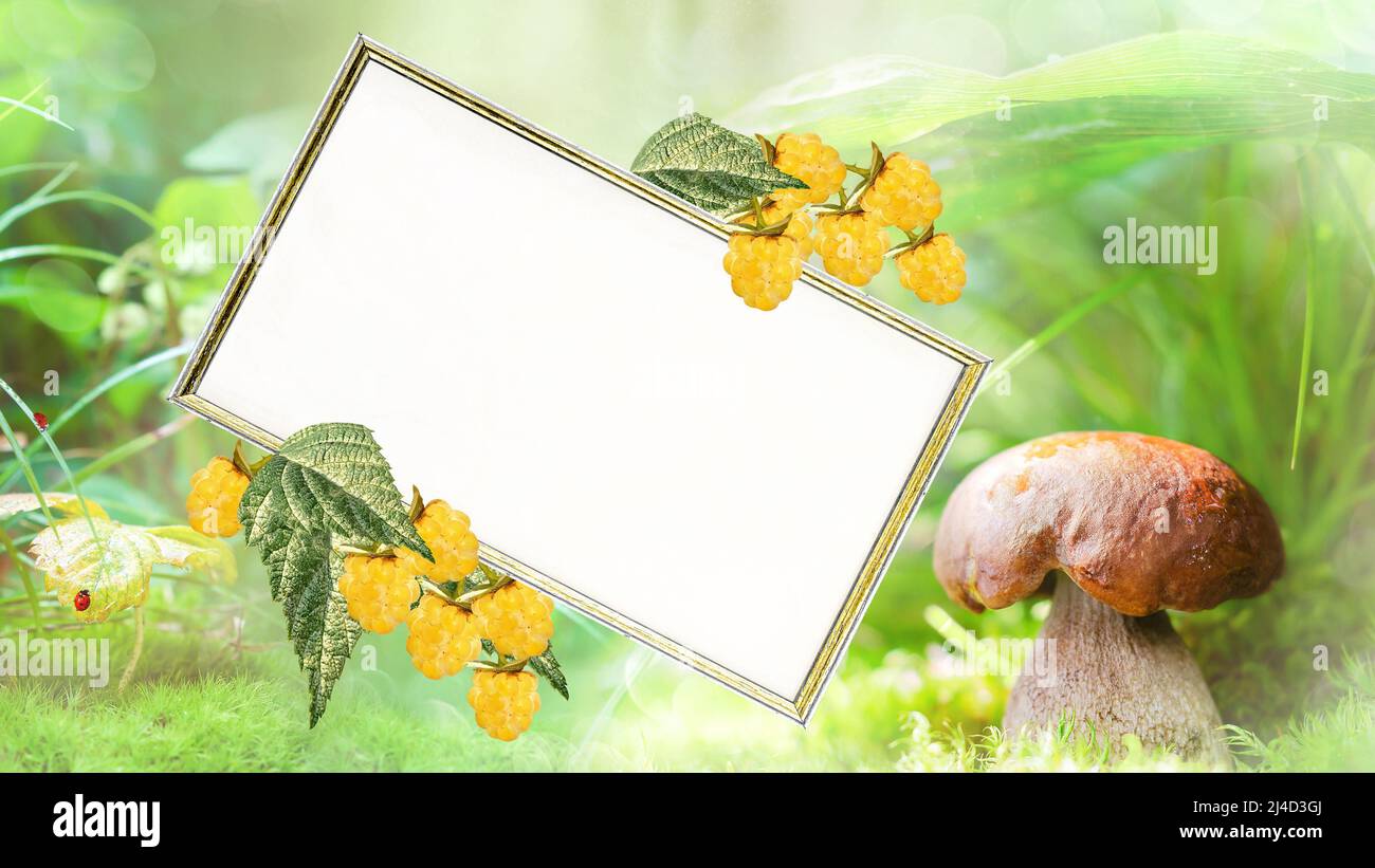 Unfocused forest background with a text frame for congratulations ...