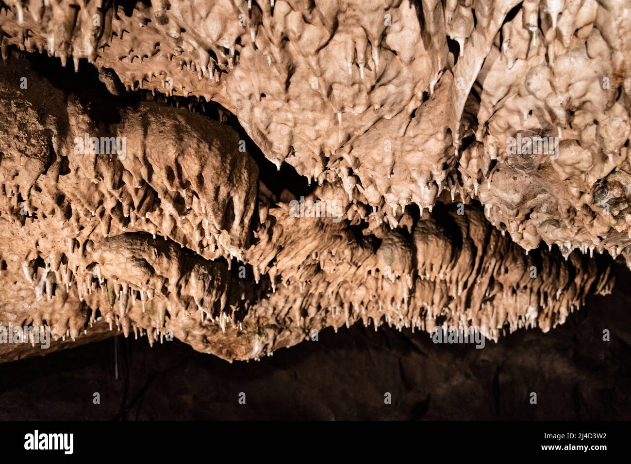 Stalactite decoration of Punkva Caves Stock Photo - Alamy