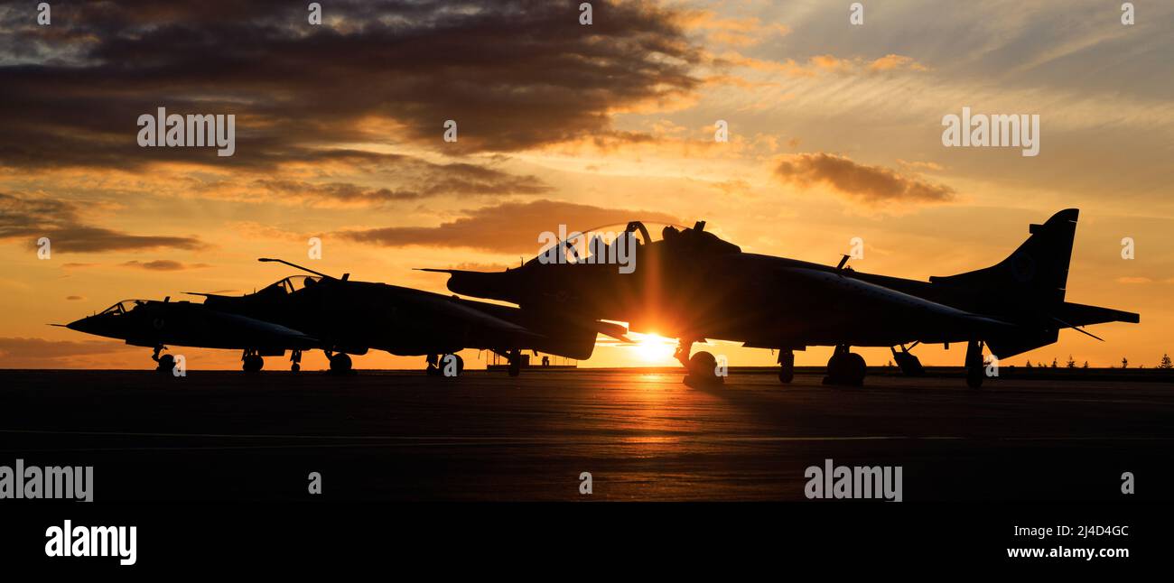 Harrier lineup HS P.1127, GR.3, and T.4 at RAF Wittering ...