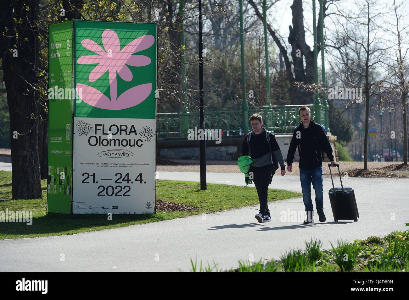 Decorative tree species and arrangements hi-res stock photography and ...