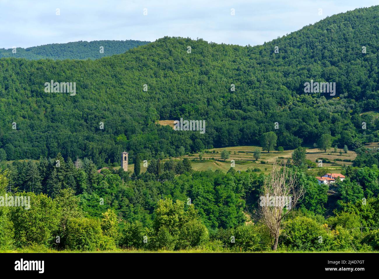 Foce carpinelli hi-res stock photography and images - Alamy