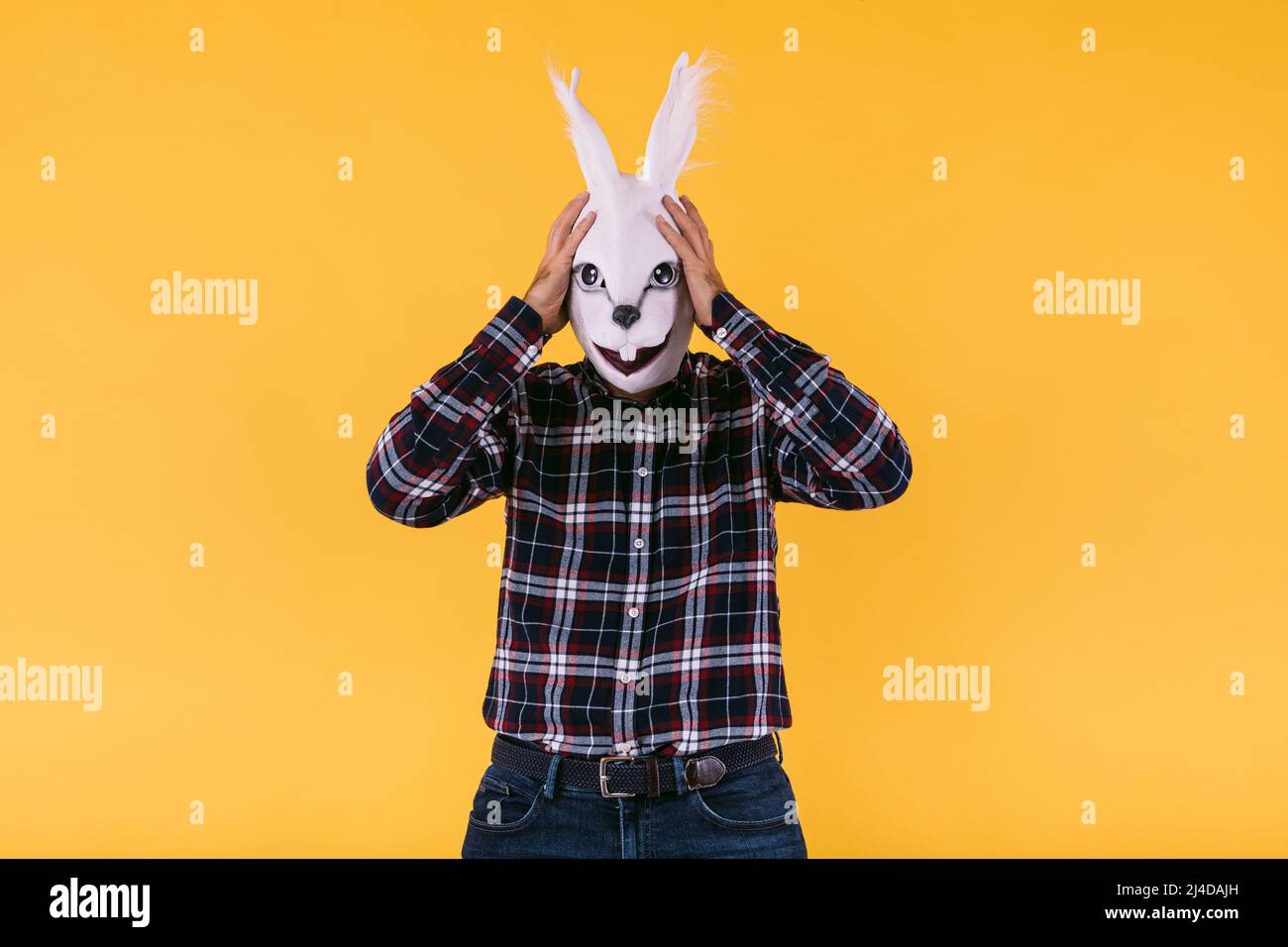 Disgusted Person Wearing Rabbit Mask Wearing Checkered Shirt and Jeans ...