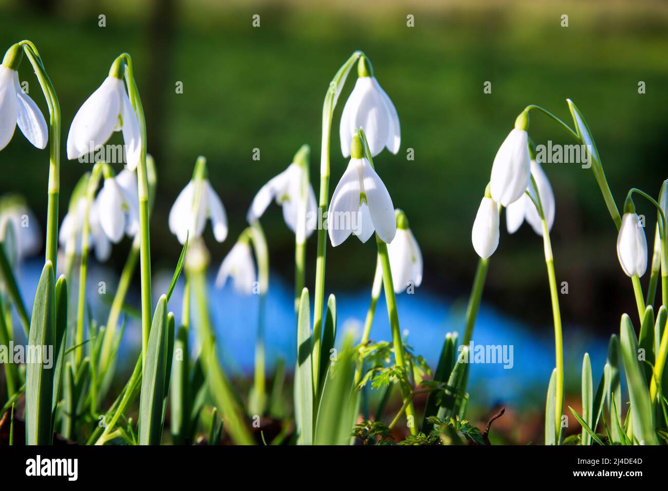 The argory hi-res stock photography and images - Alamy