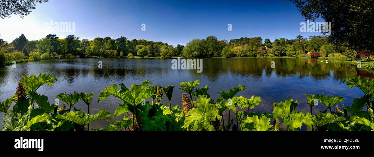Lady edith mount stewart hi-res stock photography and images - Alamy