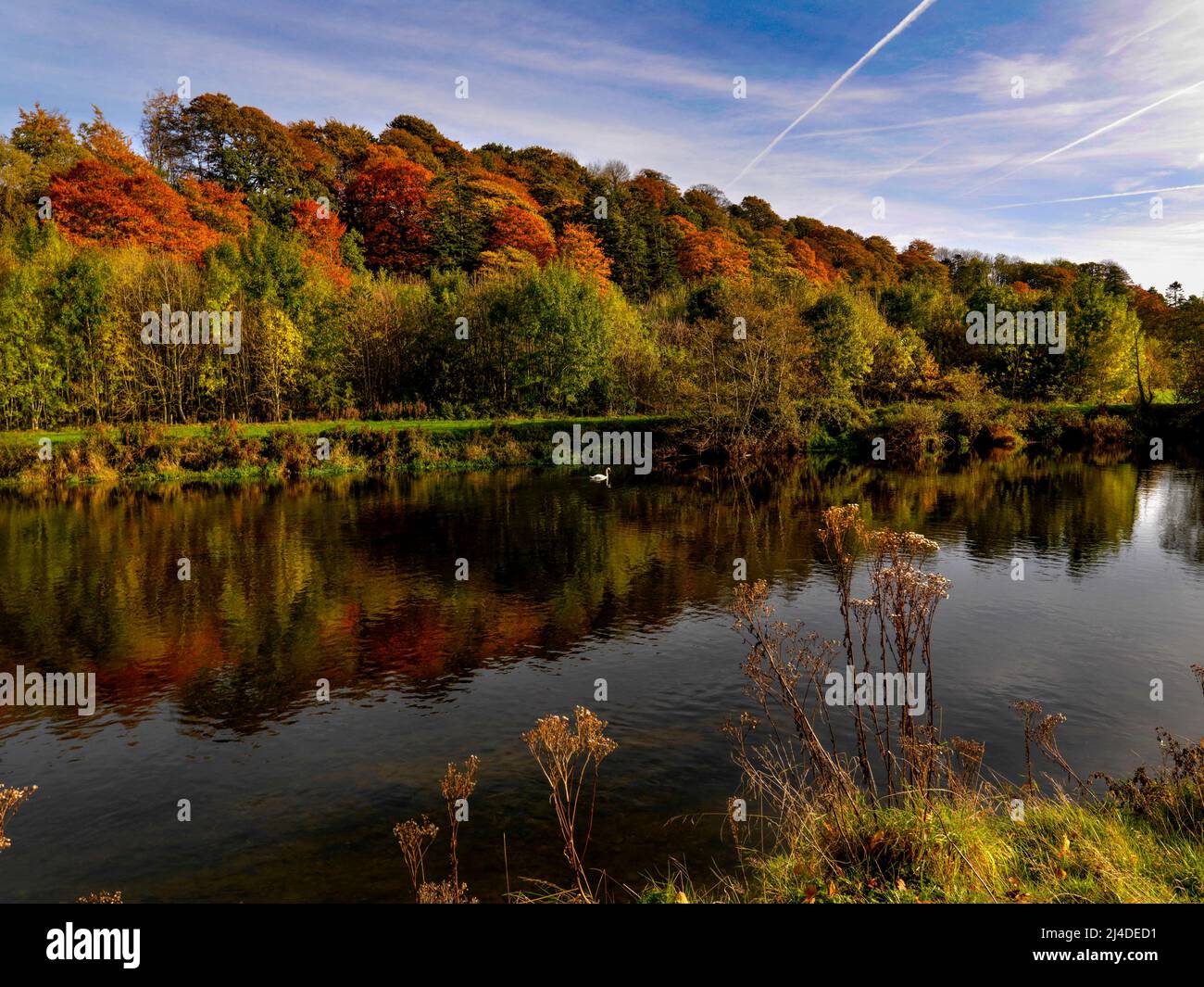 River Suir, Clonmel, County Tipperary, Ireland Stock Photo - Alamy