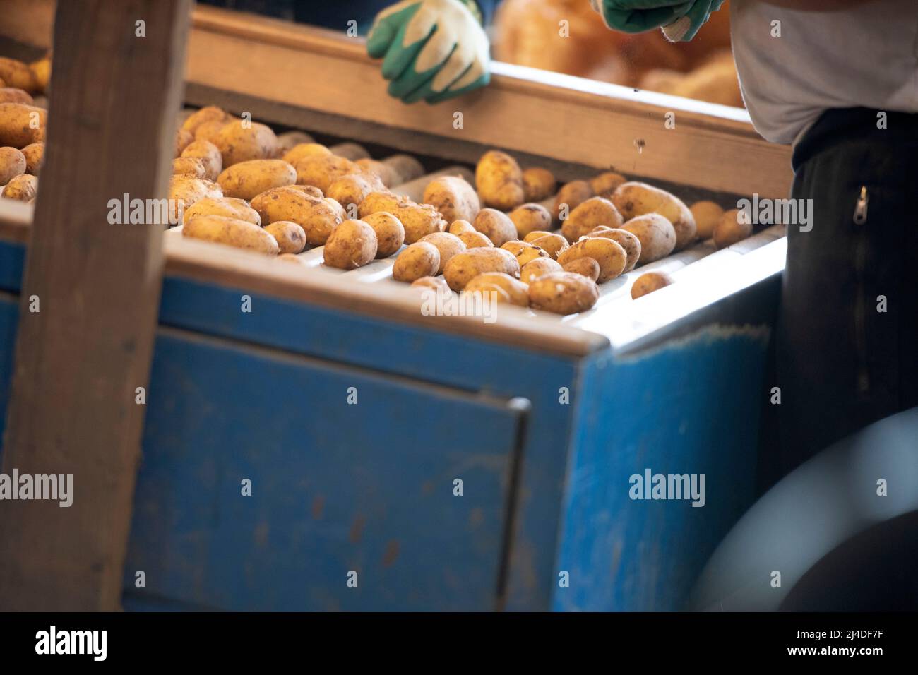 Food withtel hi-res stock photography and images - Alamy