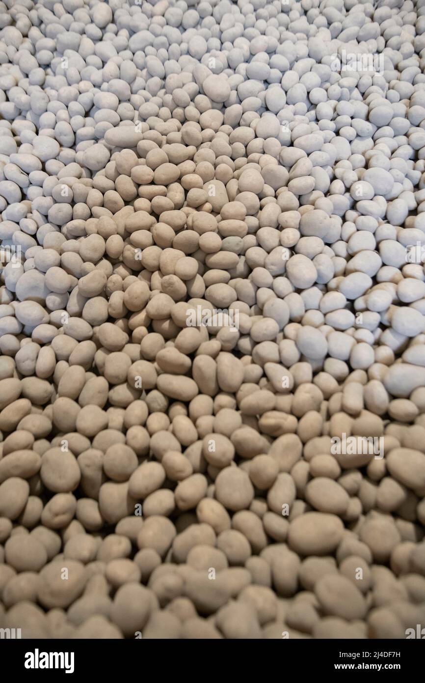 Potatoes in the potato warehouse, Prime Minister Henrik WUEST visits ...