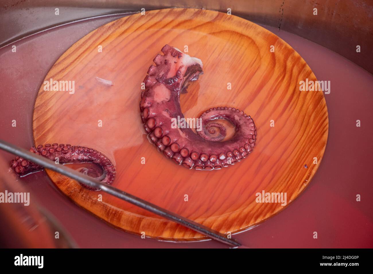 Octopus foot hi-res stock photography and images - Alamy