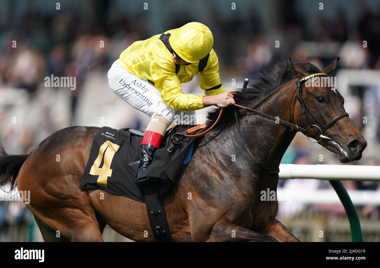 Tajalla horse hi-res stock photography and images - Alamy