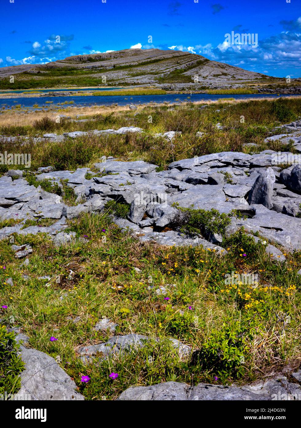 Gealain Lough and Mullaghmore, County Clare The Burren, Ireland Stock ...
