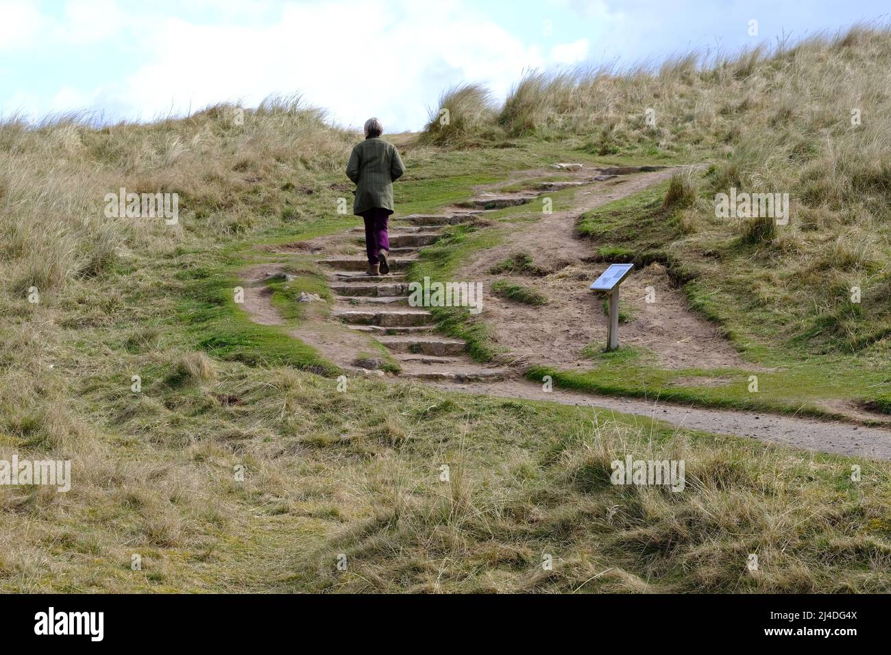 St Cyrus National Nature Reserve Aberdeenshire with protected landscape ...