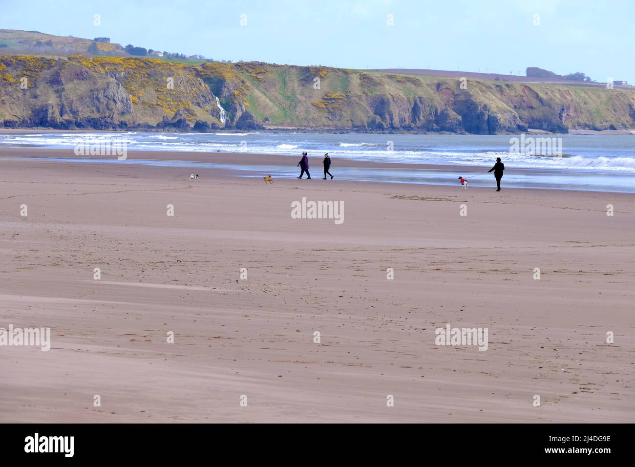 St Cyrus National Nature Reserve Aberdeenshire with protected landscape ...