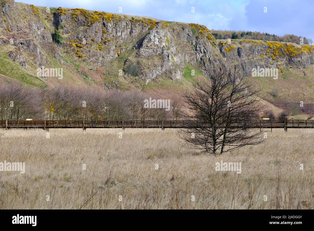 St Cyrus National Nature Reserve Aberdeenshire with protected landscape ...