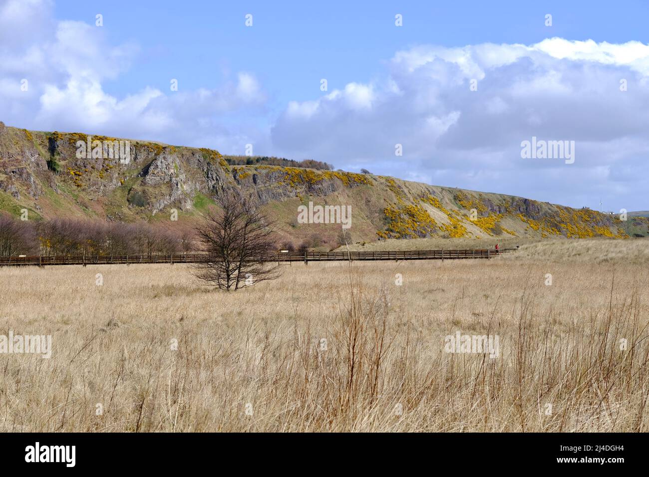 St Cyrus National Nature Reserve Aberdeenshire with protected landscape ...