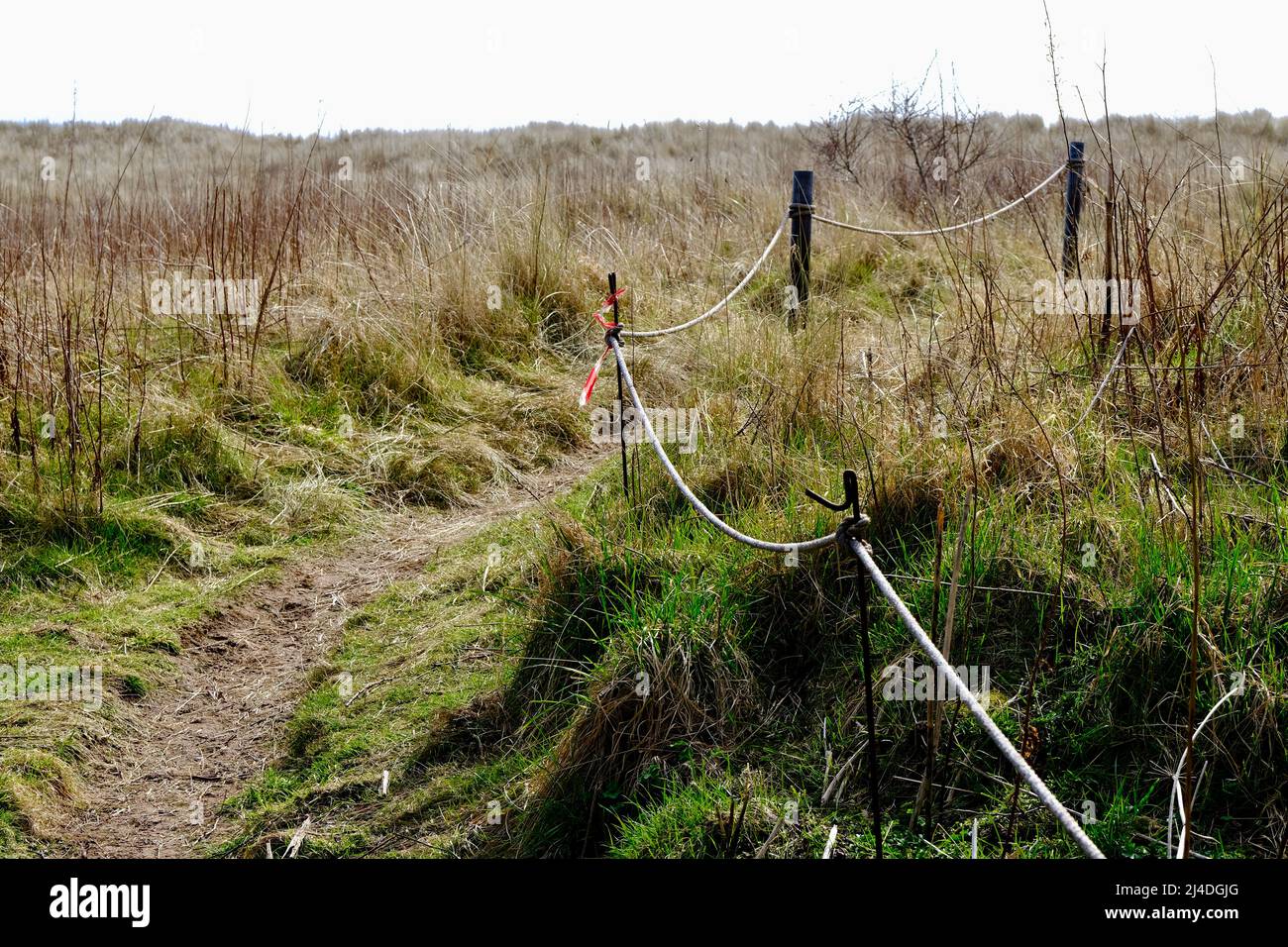 St Cyrus National Nature Reserve Aberdeenshire with protected landscape ...