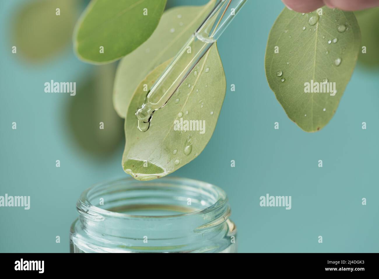 Macro shot of beautiful leaf and pipette, medicine drop falling into ...