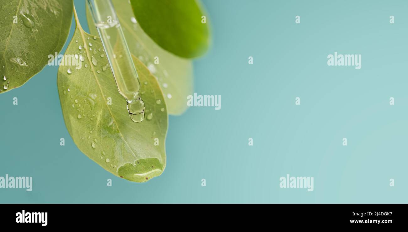 Essential oil extract of medicinal herbs Stock Photo - Alamy