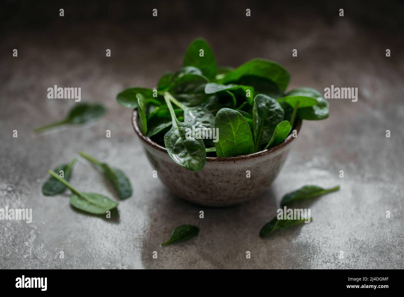 Baby spinach growing hi-res stock photography and images - Alamy