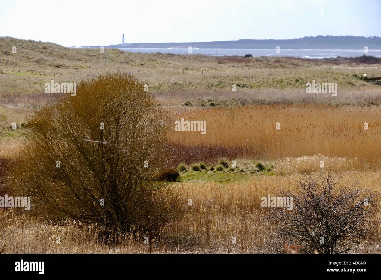 St Cyrus National Nature Reserve Aberdeenshire with protected landscape ...