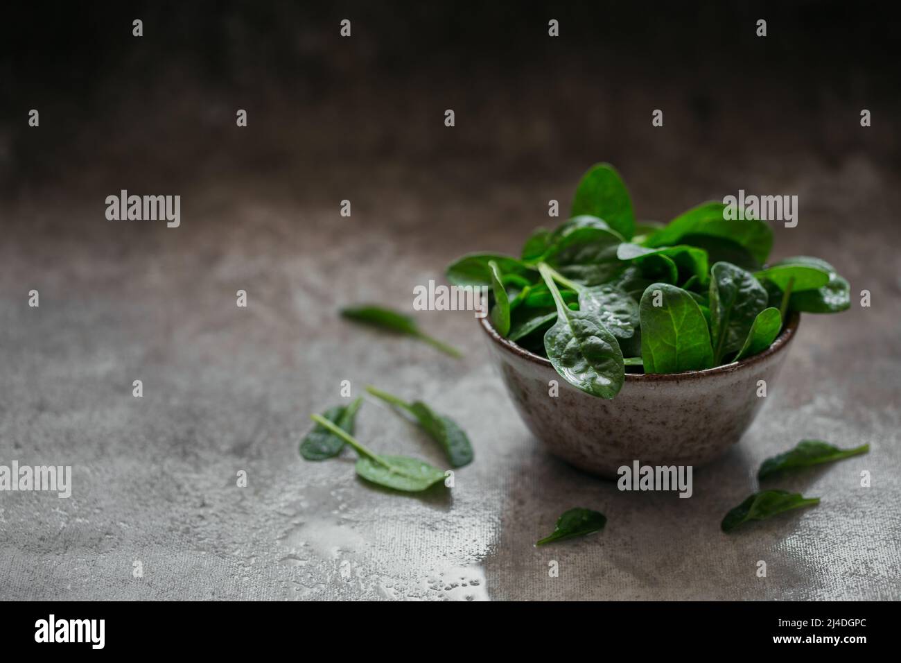 Baby spinach growing hi-res stock photography and images - Alamy