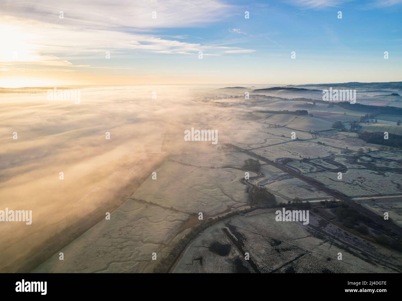 Marshall meadows hi-res stock photography and images - Alamy