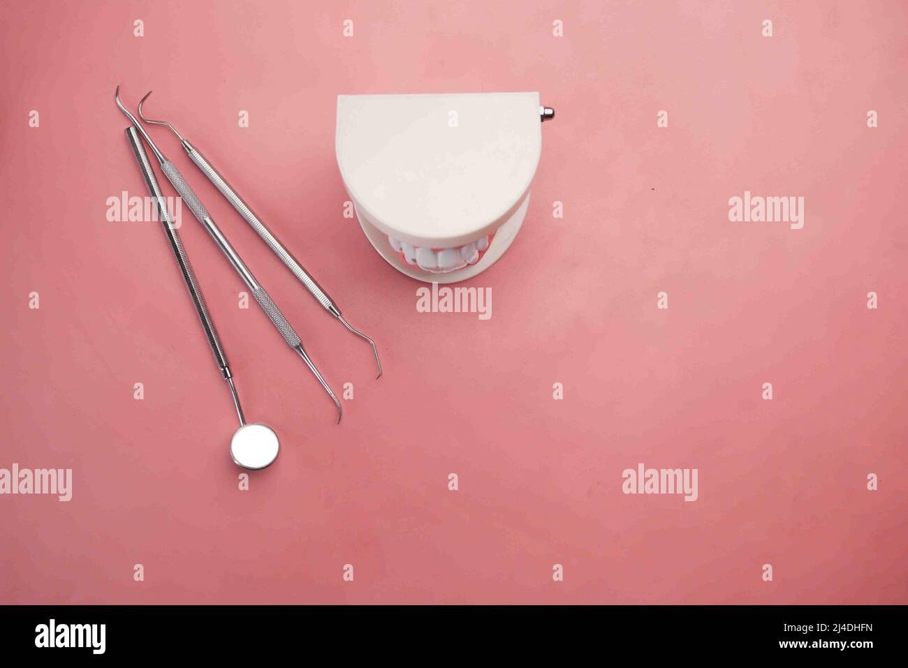 plastic dental teeth model on pink background Stock Photo - Alamy