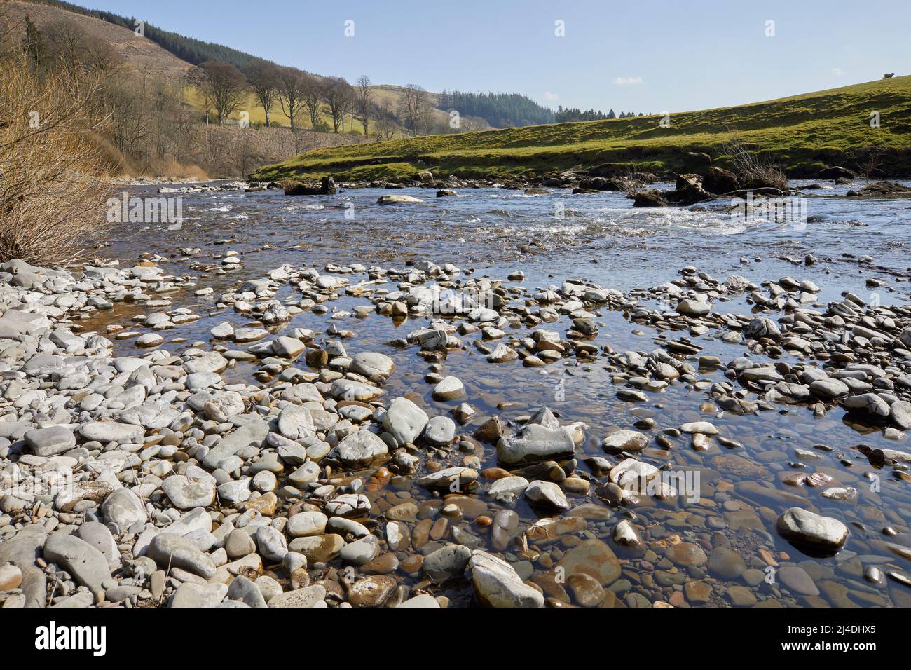 River Esk downstream from the bridge at Bentpath Stock Photo - Alamy