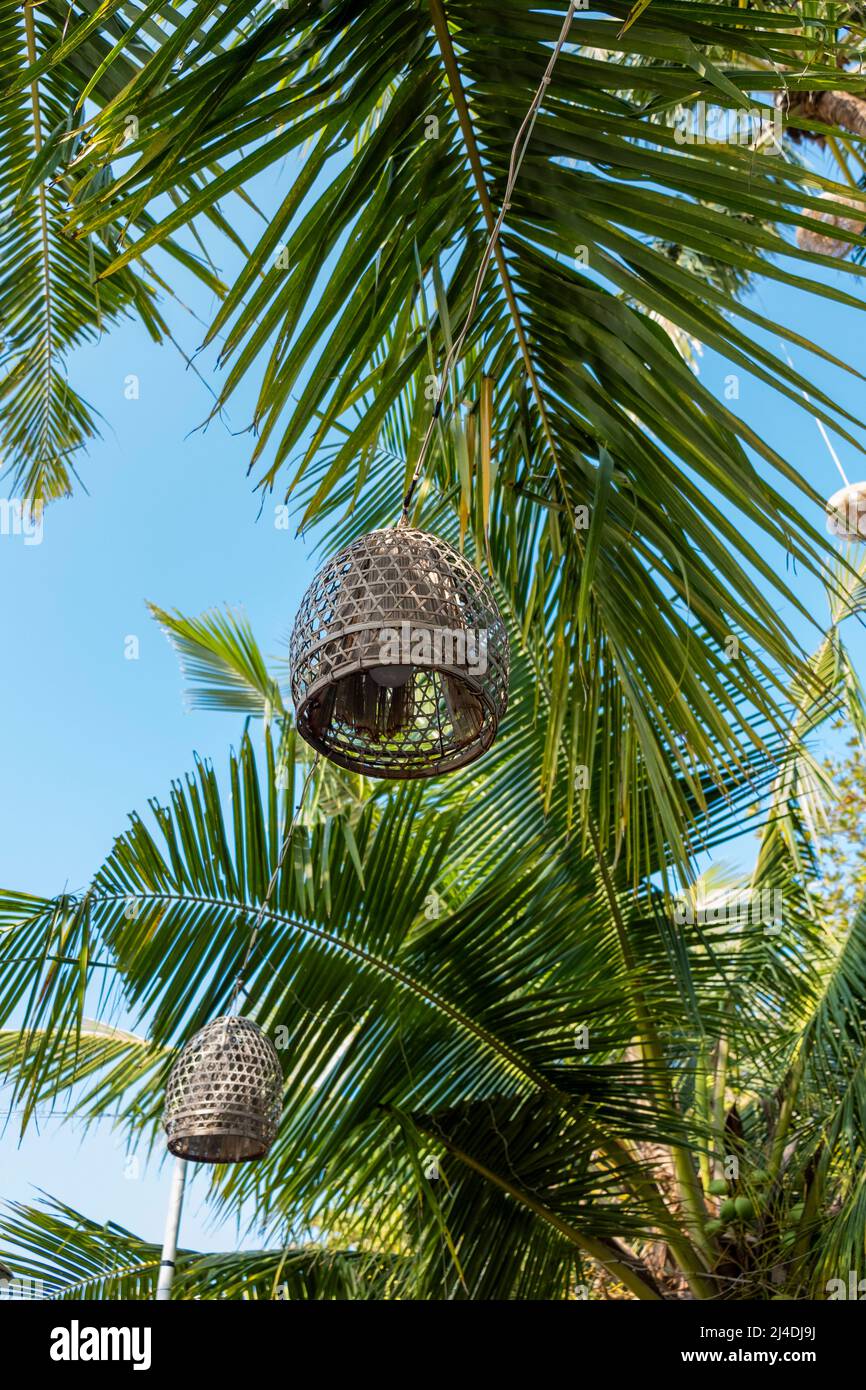 light bulb on palm background Stock Photo - Alamy