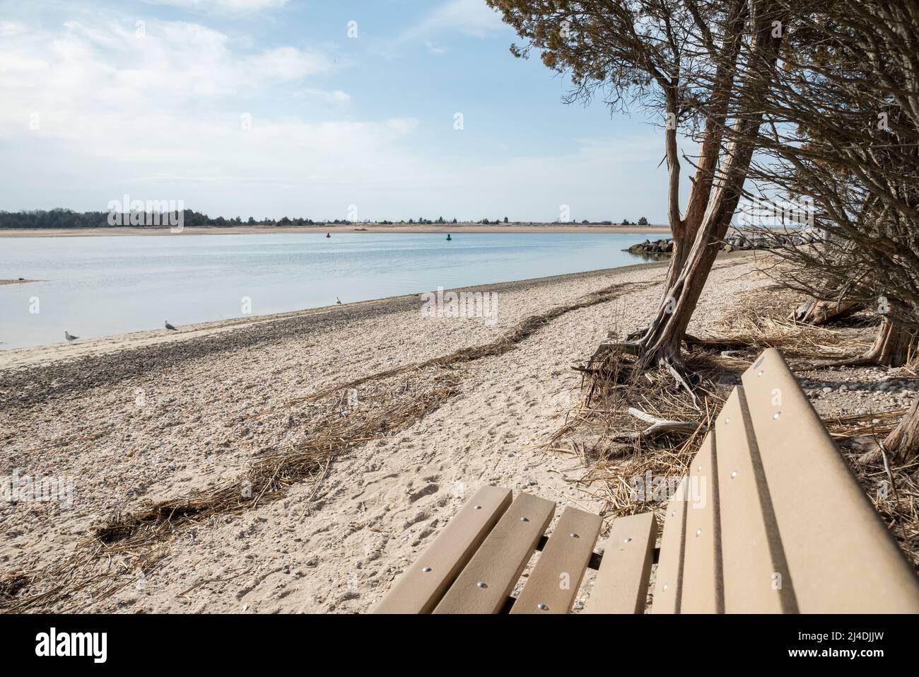 A bench on the beach Stock Photo - Alamy
