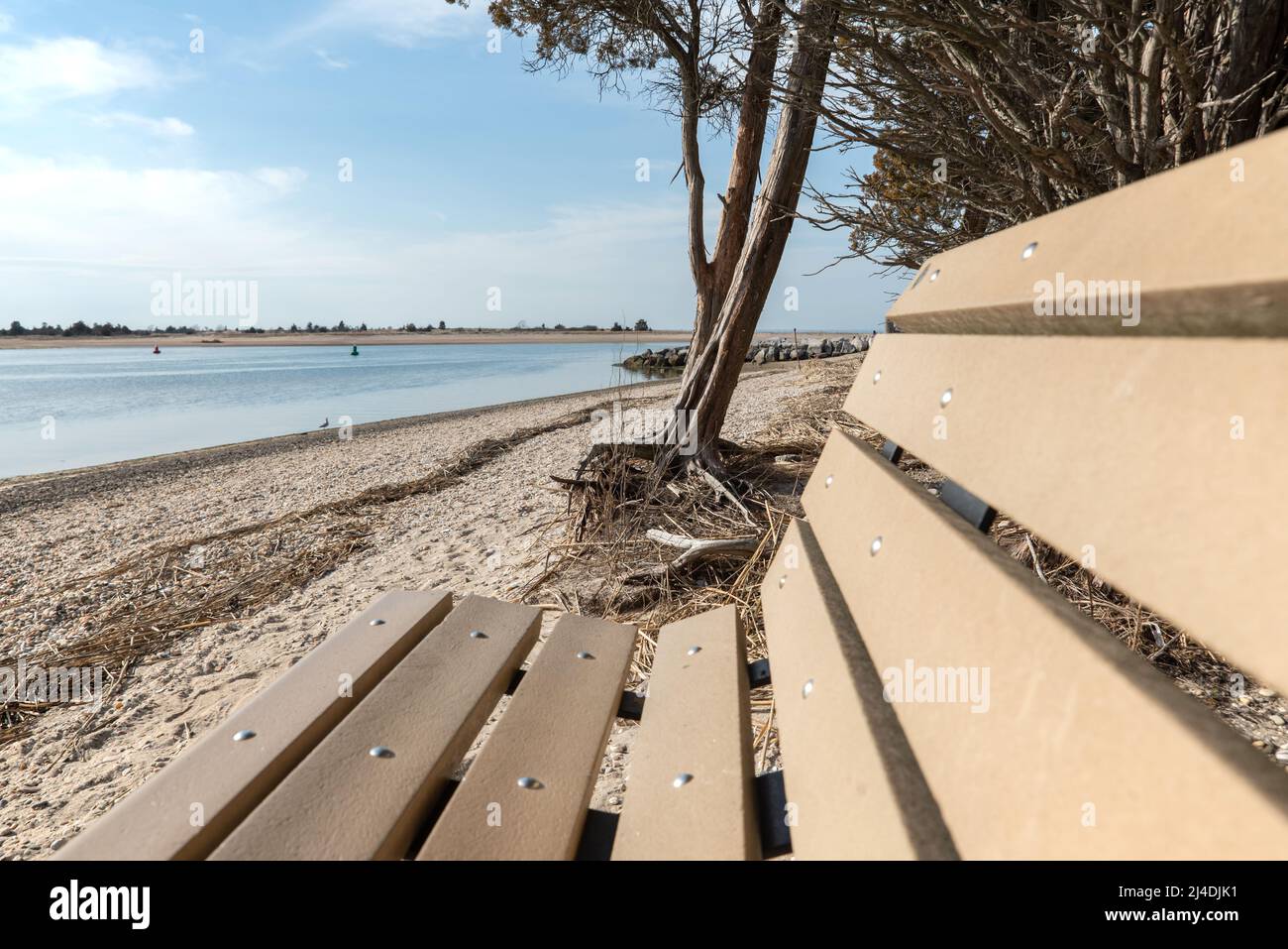 A bench on the beach Stock Photo - Alamy