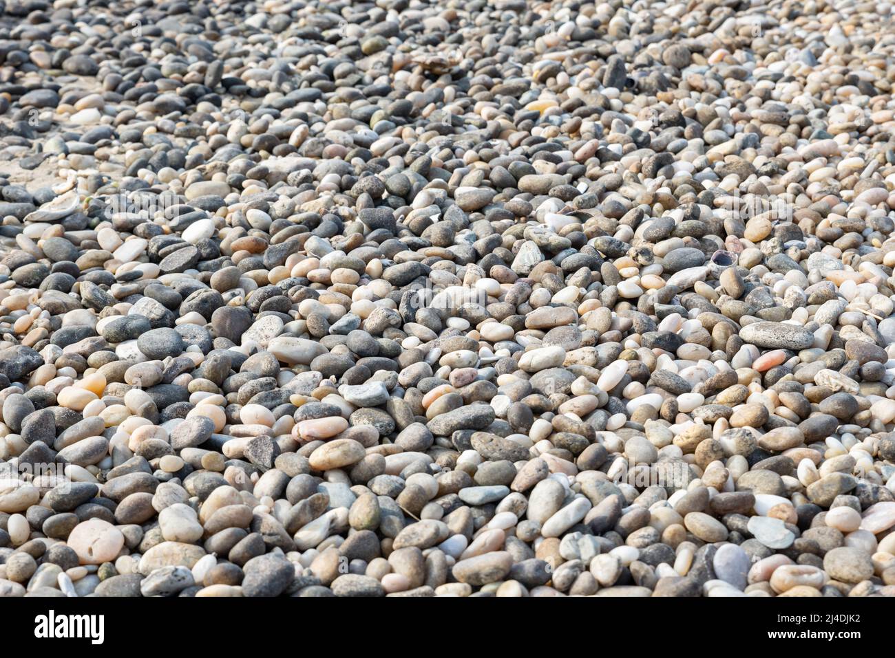 Pebbles on the beach Stock Photo - Alamy